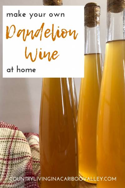 How to Make Dandelion Wine - Country Living in a Cariboo Valley